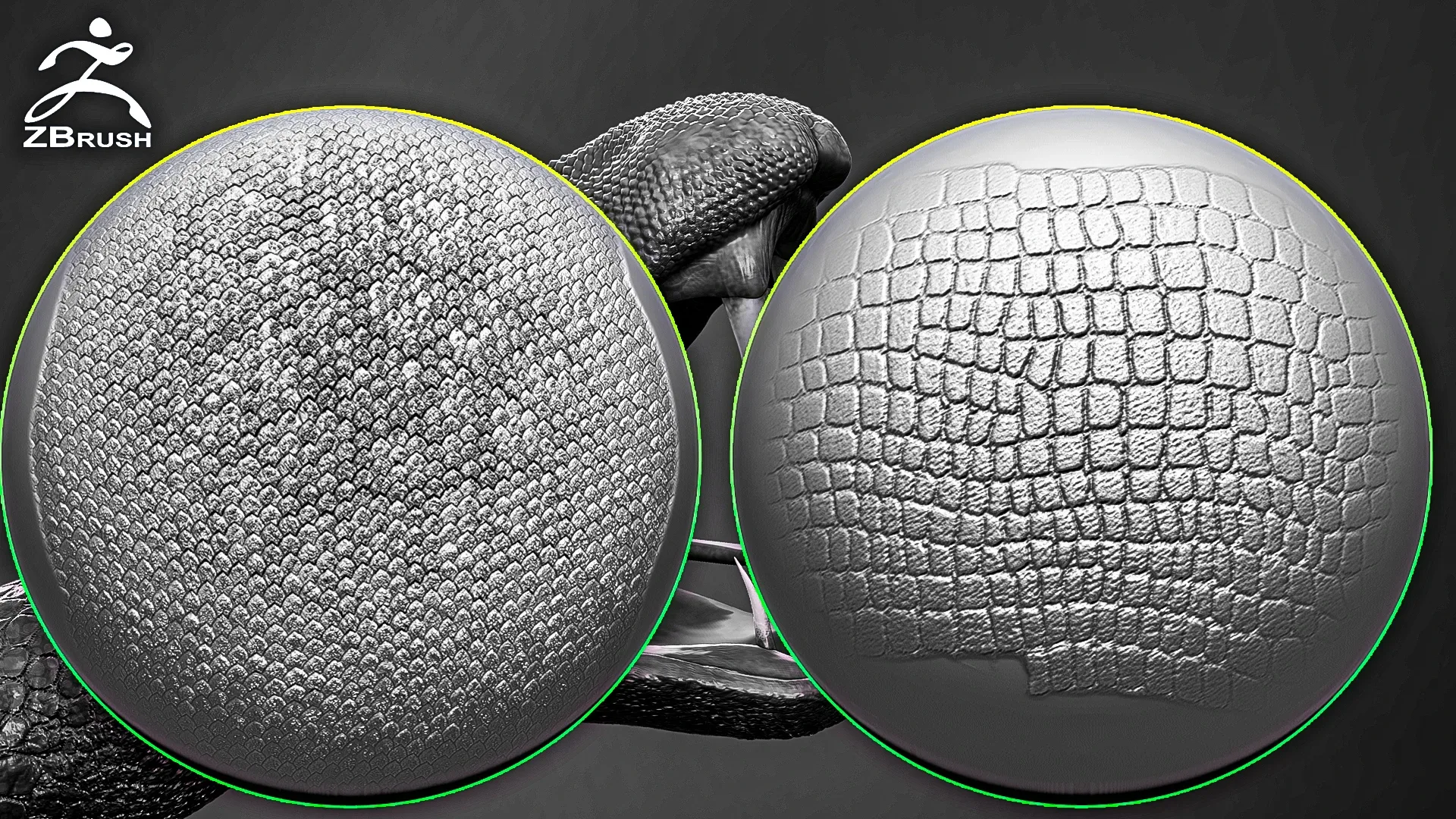 Reptile Skin Alphas for ZBrush - FlippedNormals