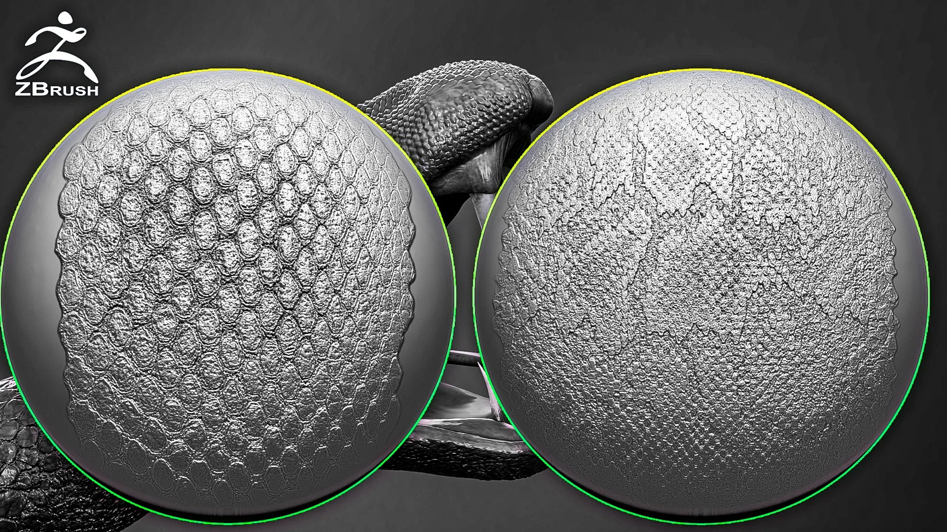 Reptile Skin Alphas for ZBrush - FlippedNormals
