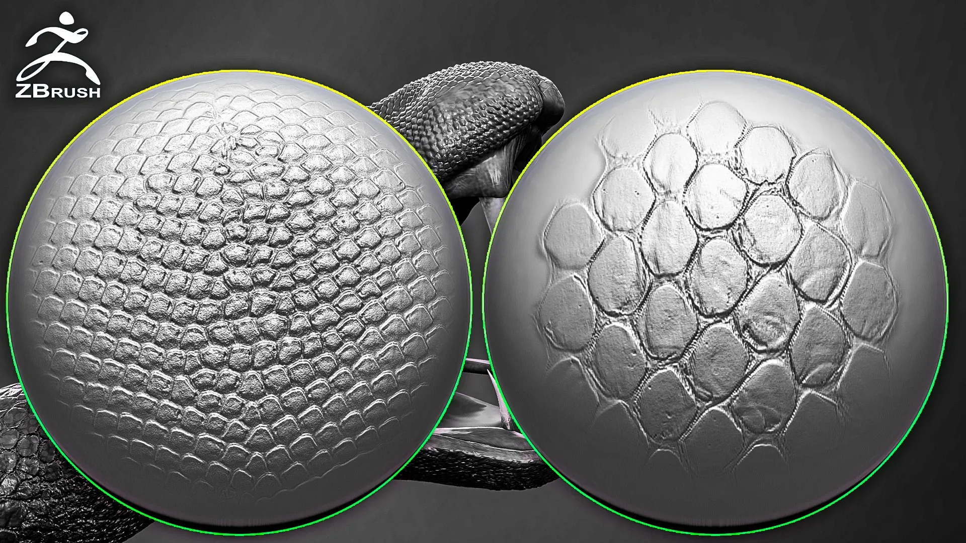 Reptile Skin Alphas for ZBrush - FlippedNormals