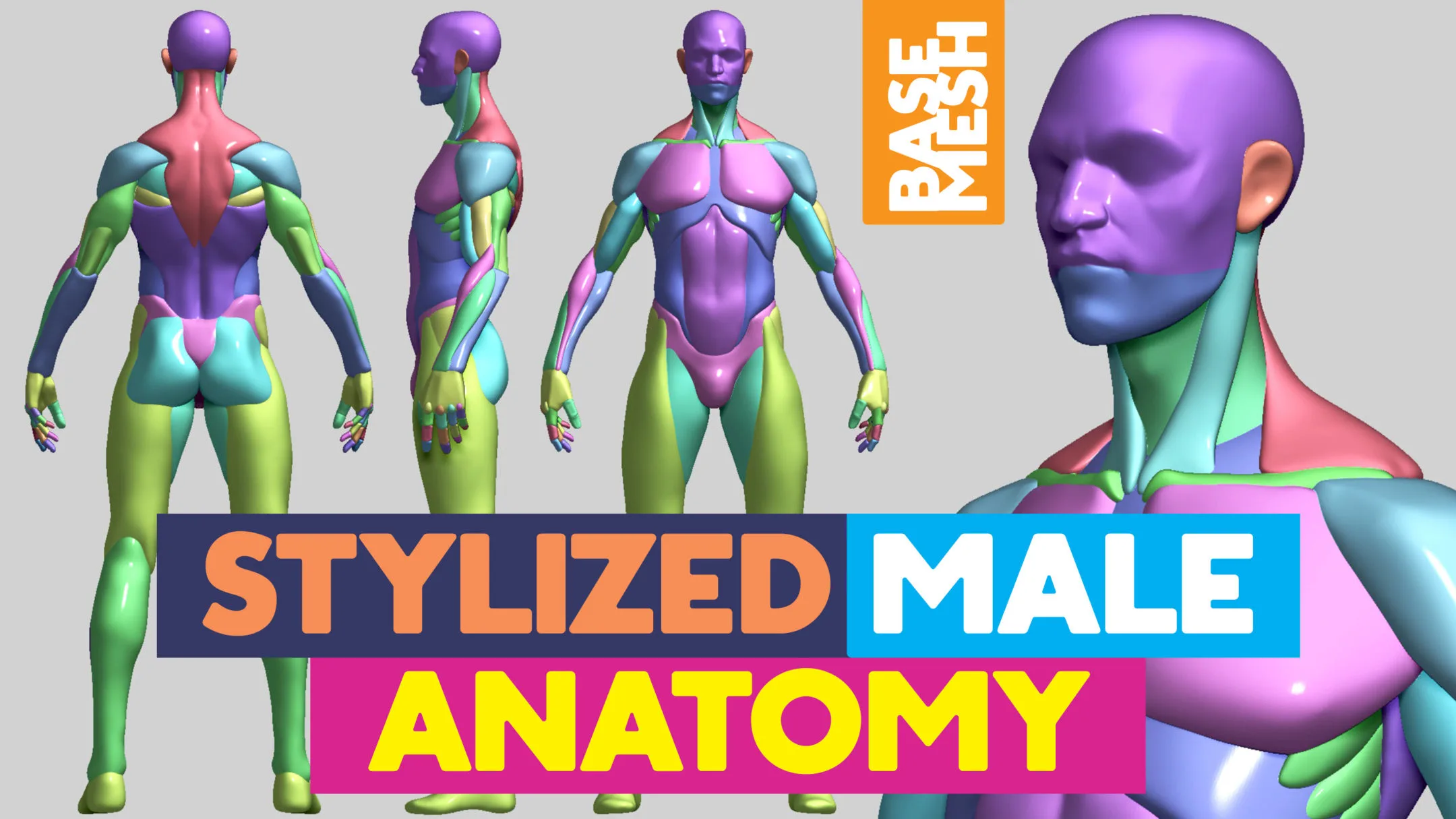 Stylized Male Anatomy Basemesh - FlippedNormals Stylized Male Anatomy Basemesh - FlippedNormals