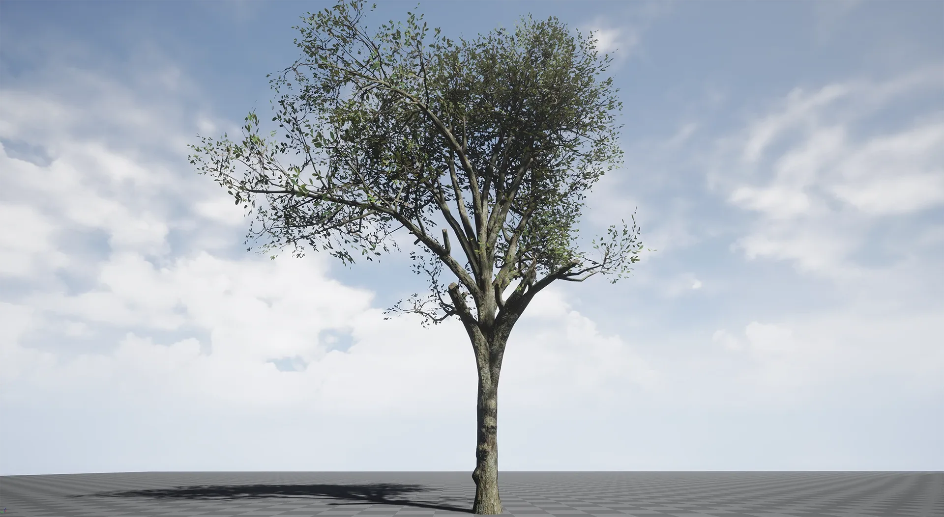 Tree Collection 001 - FlippedNormals