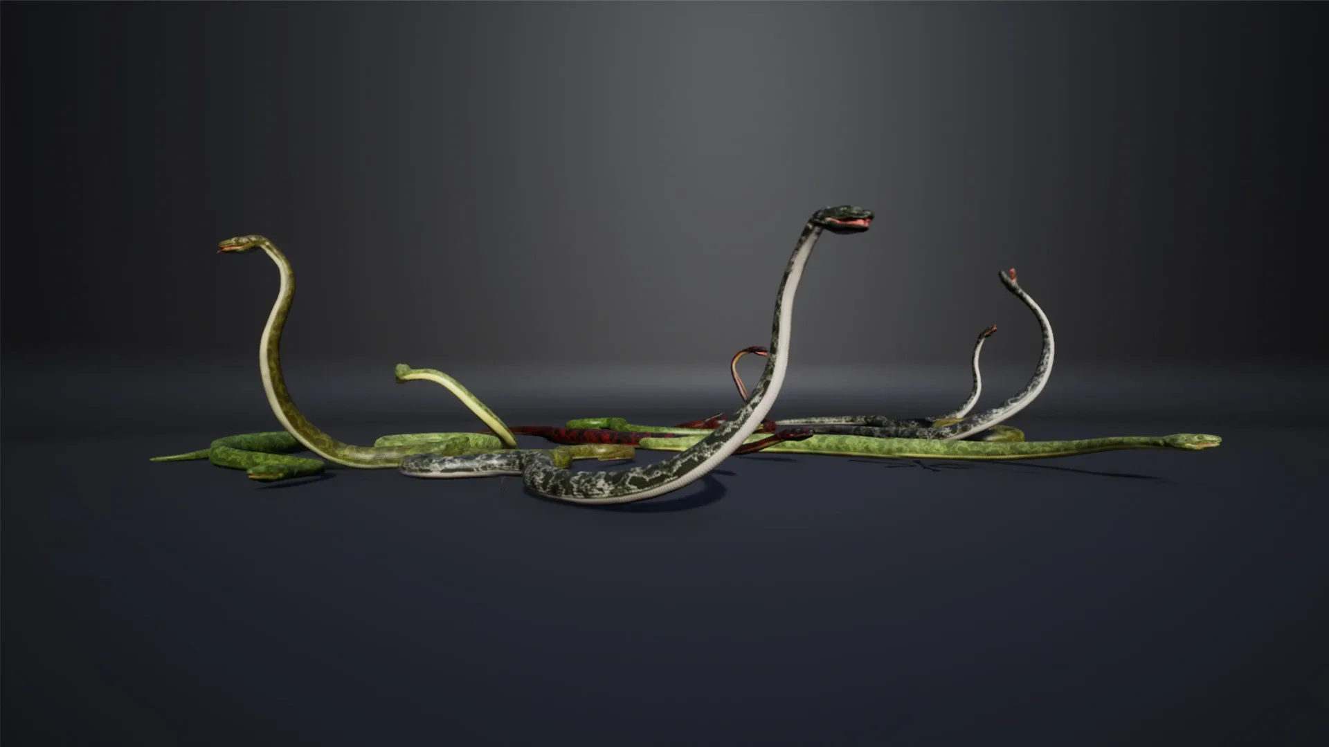 Snakes (Boa) - Game Ready - FlippedNormals