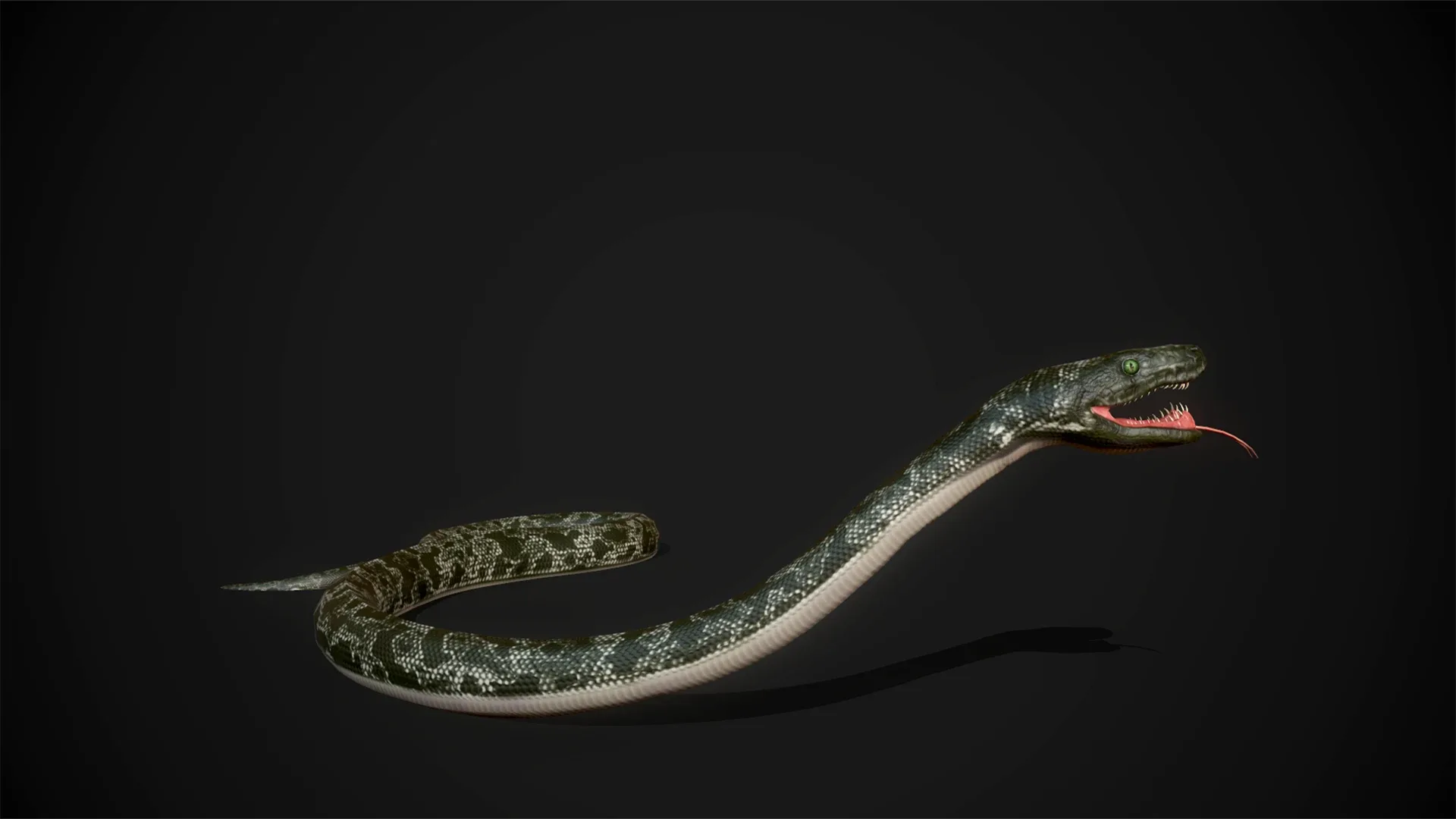 Snakes (Boa) - Game Ready - FlippedNormals