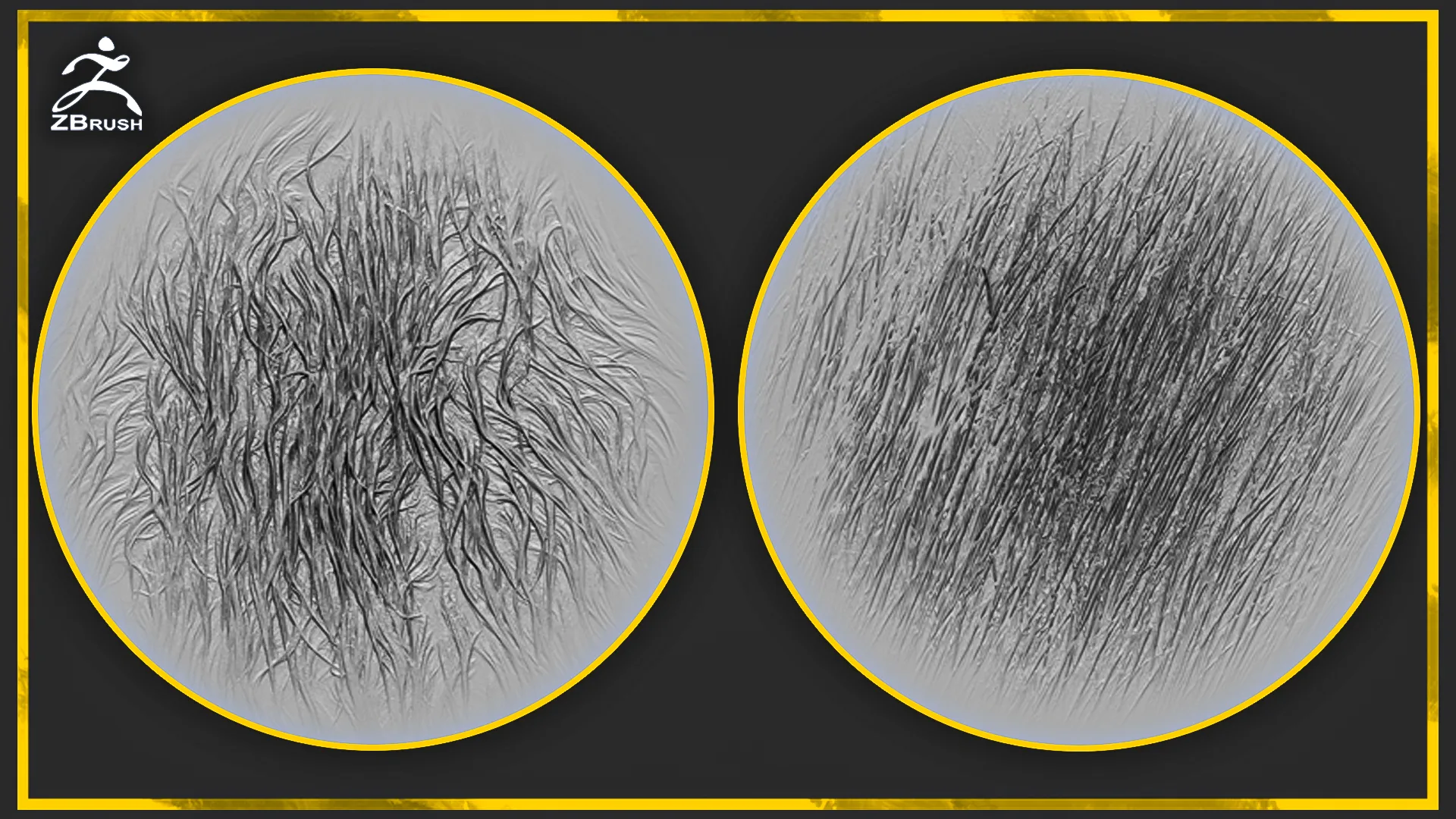 20 Fur and Hair Alphas for ZBrush - FlippedNormals