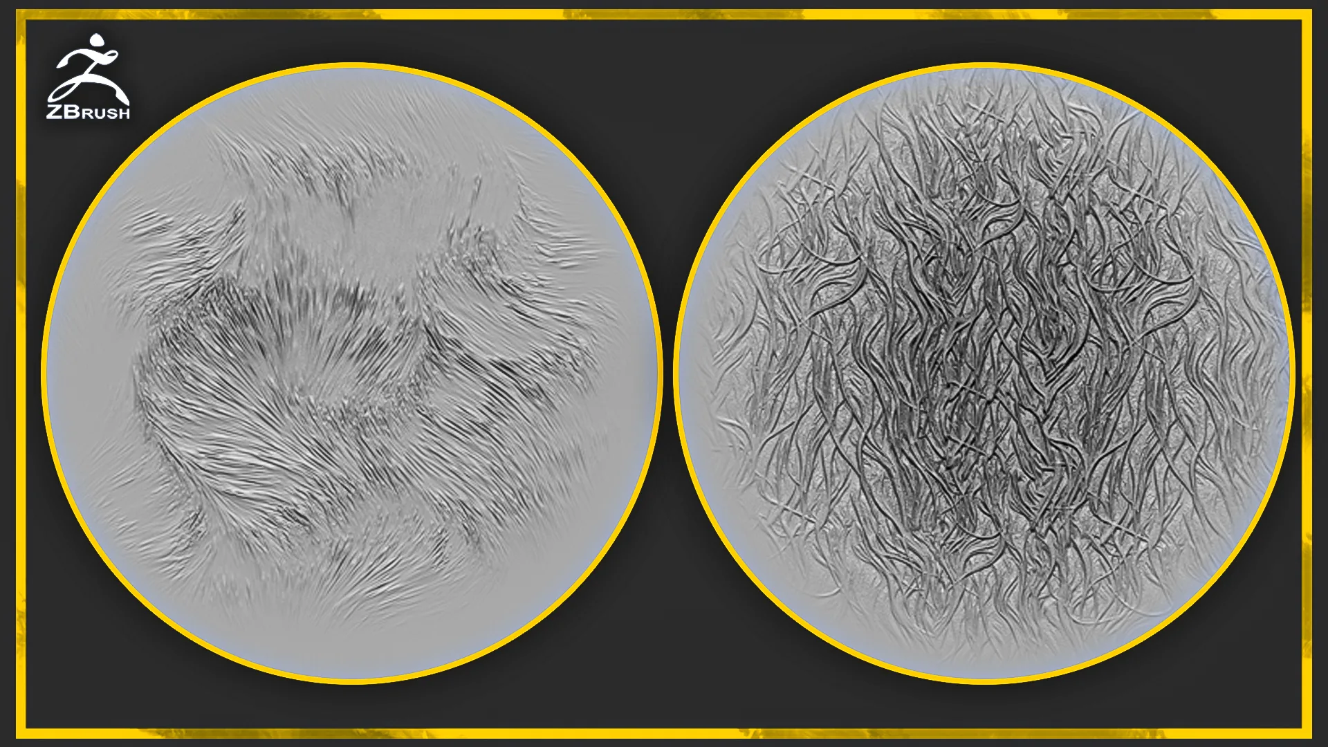 20 Fur and Hair Alphas for ZBrush - FlippedNormals
