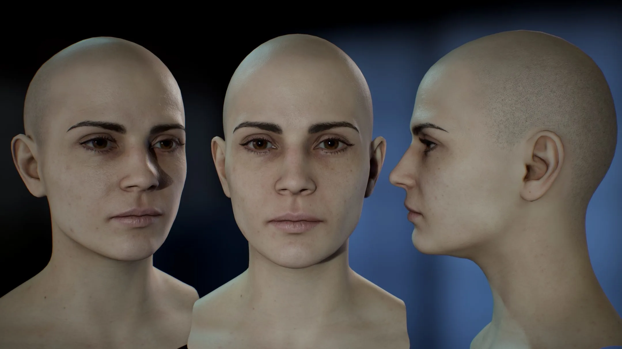 Highly Detailed Female Head and - FlippedNormals