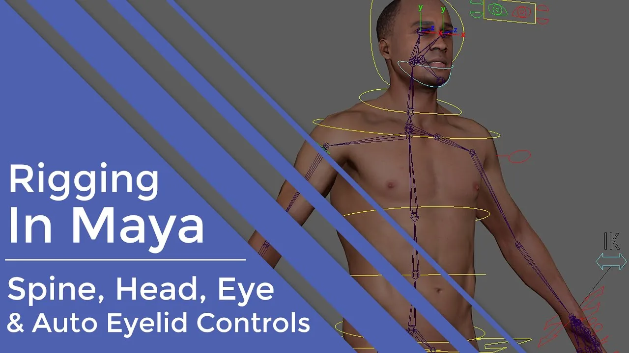 Rigging In Maya: Biped - FlippedNormals