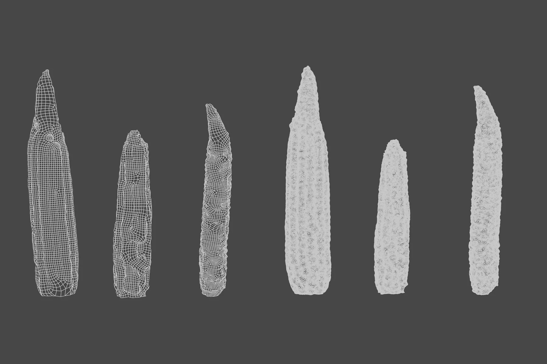 Corn Cob Of 3 Types In Different - FlippedNormals