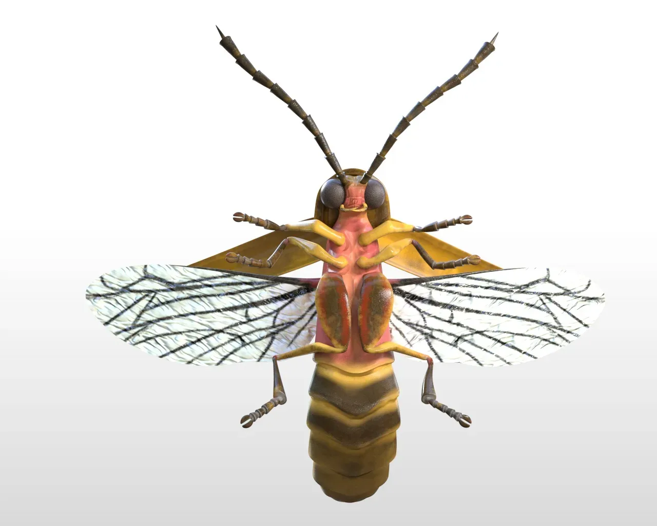 Firefly insect rigged 3d model - FlippedNormals