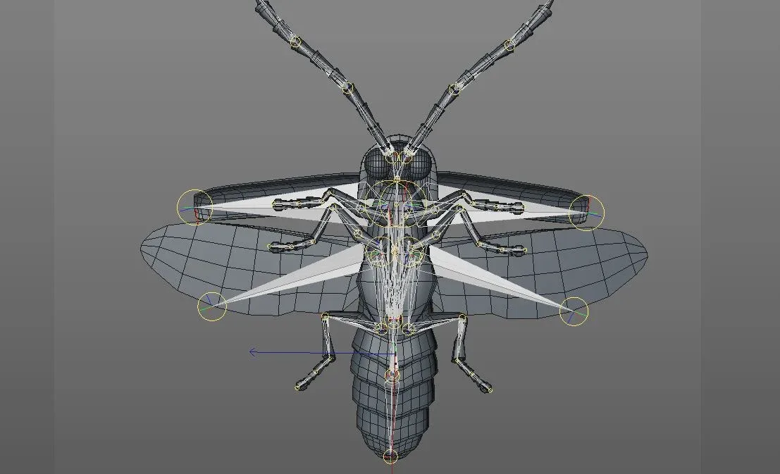 Firefly insect rigged 3d model - FlippedNormals