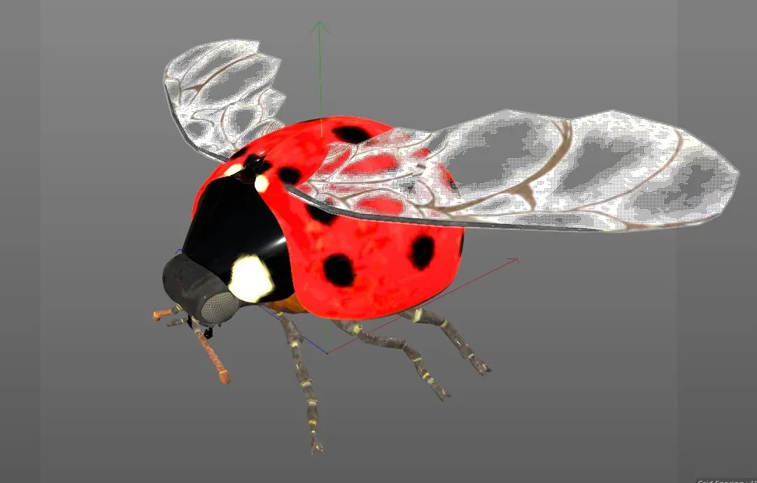 Ladybug insect rigged 3d model - FlippedNormals