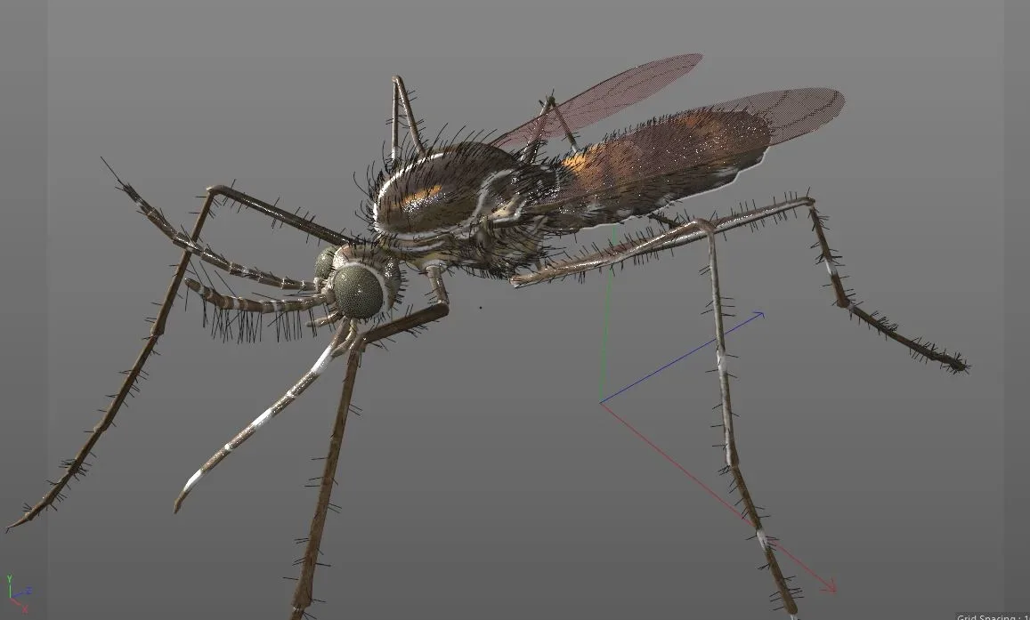 Mosquito insects 3d model - FlippedNormals