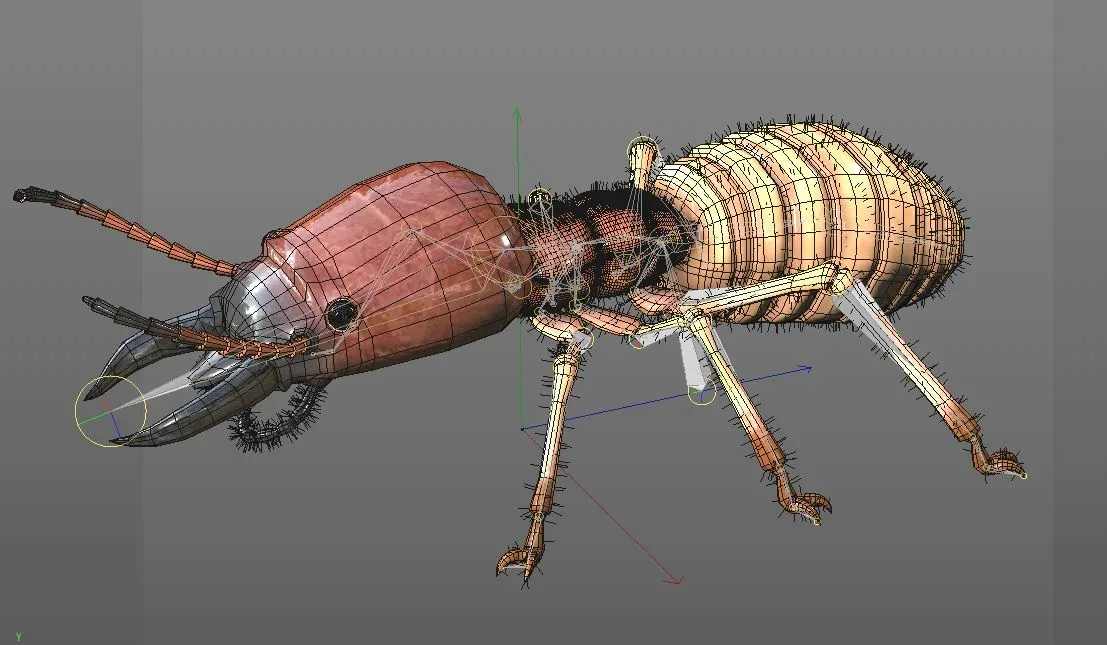 Termite insect rigged 3d model - FlippedNormals