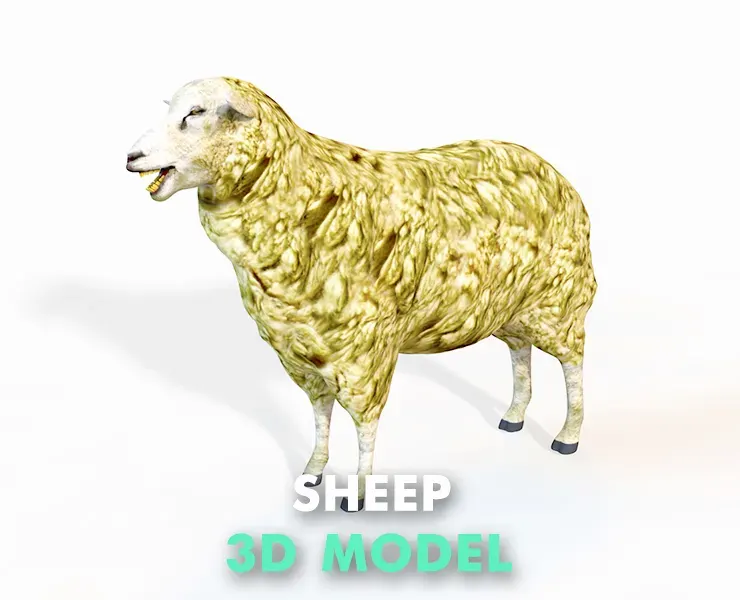 sheep rigged 3d model - FlippedNormals
