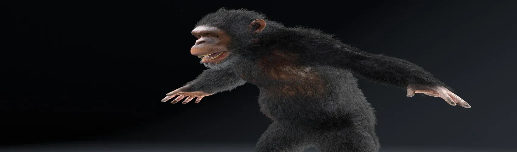 Chimpanzee hair fur rigged 3d model - FlippedNormals