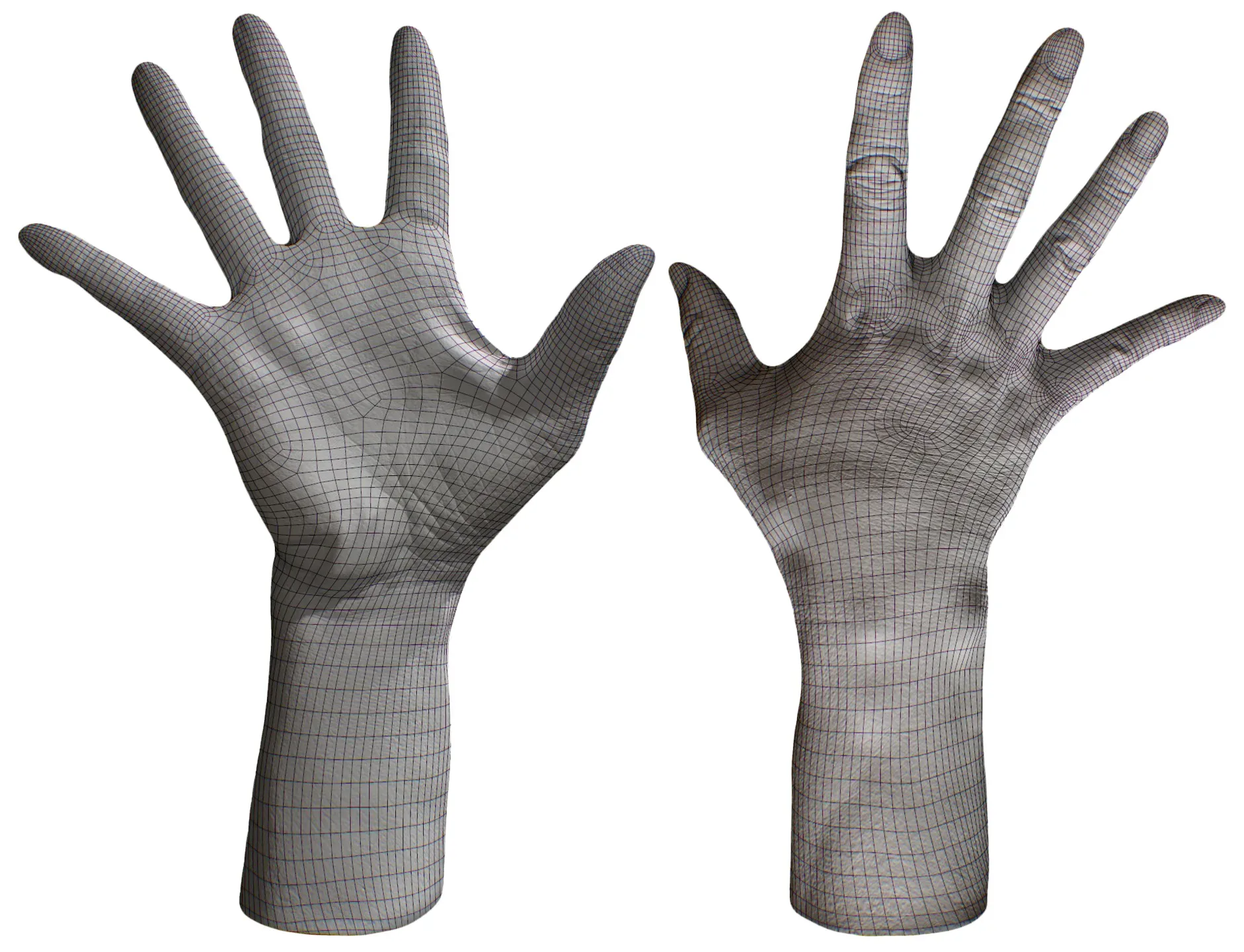 Retopologized Hand Scan | 3D Model - FlippedNormals
