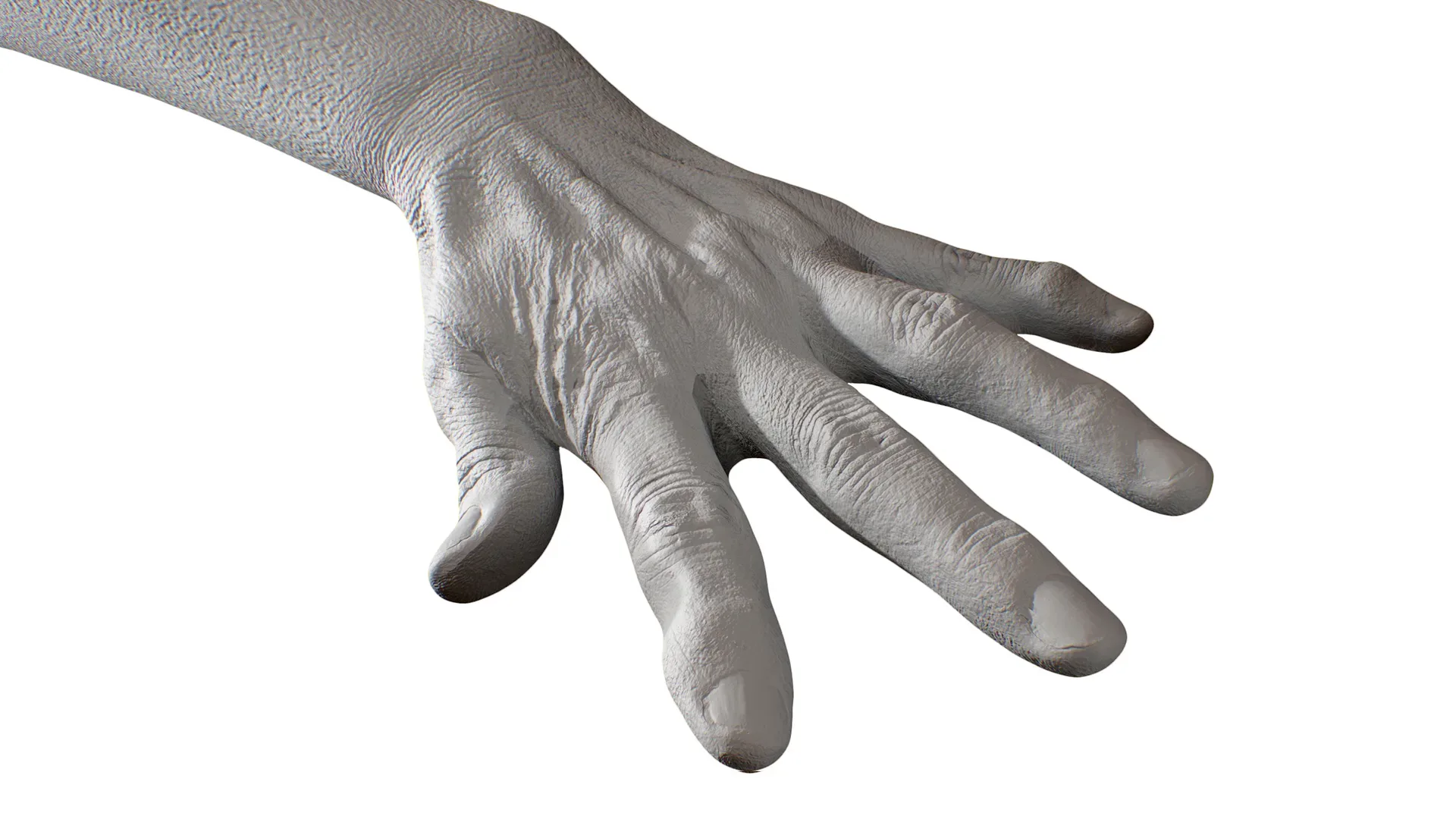 Retopologized Hand Scan | 3D Model - FlippedNormals