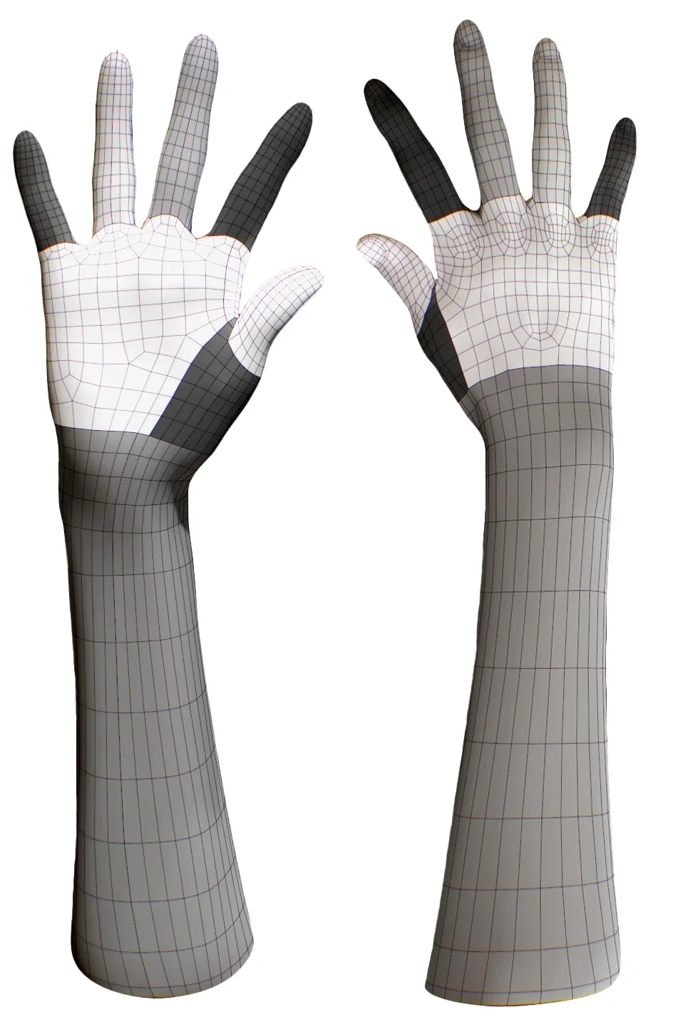 Retopologized Hand Scan | 3D Model - FlippedNormals