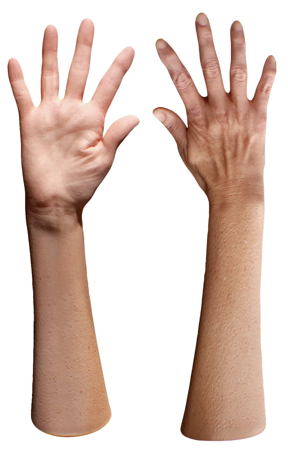 Retopologized Hand Scan | 3D Model - FlippedNormals