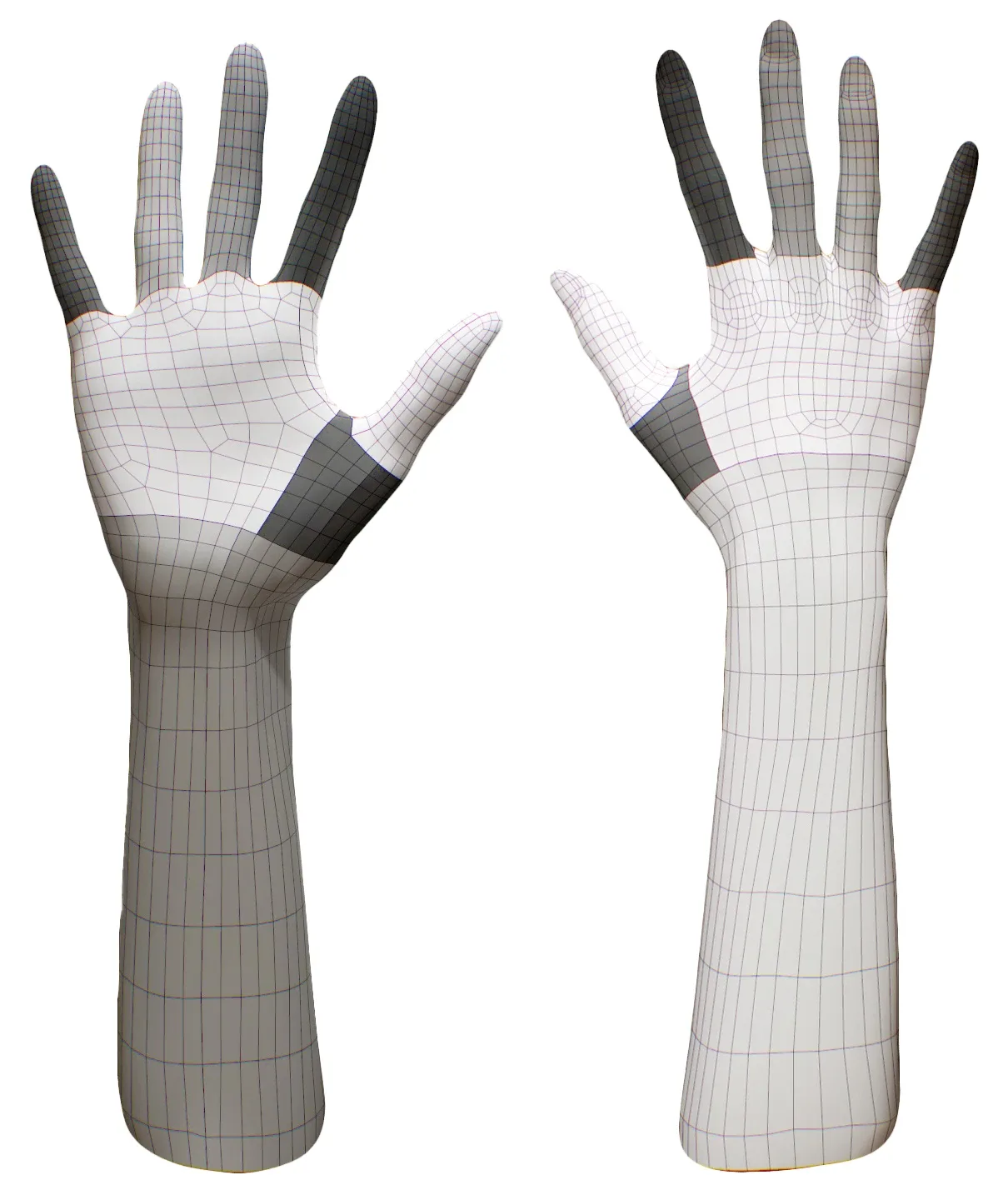 Retopologized Hand Scan | 3D Model - FlippedNormals