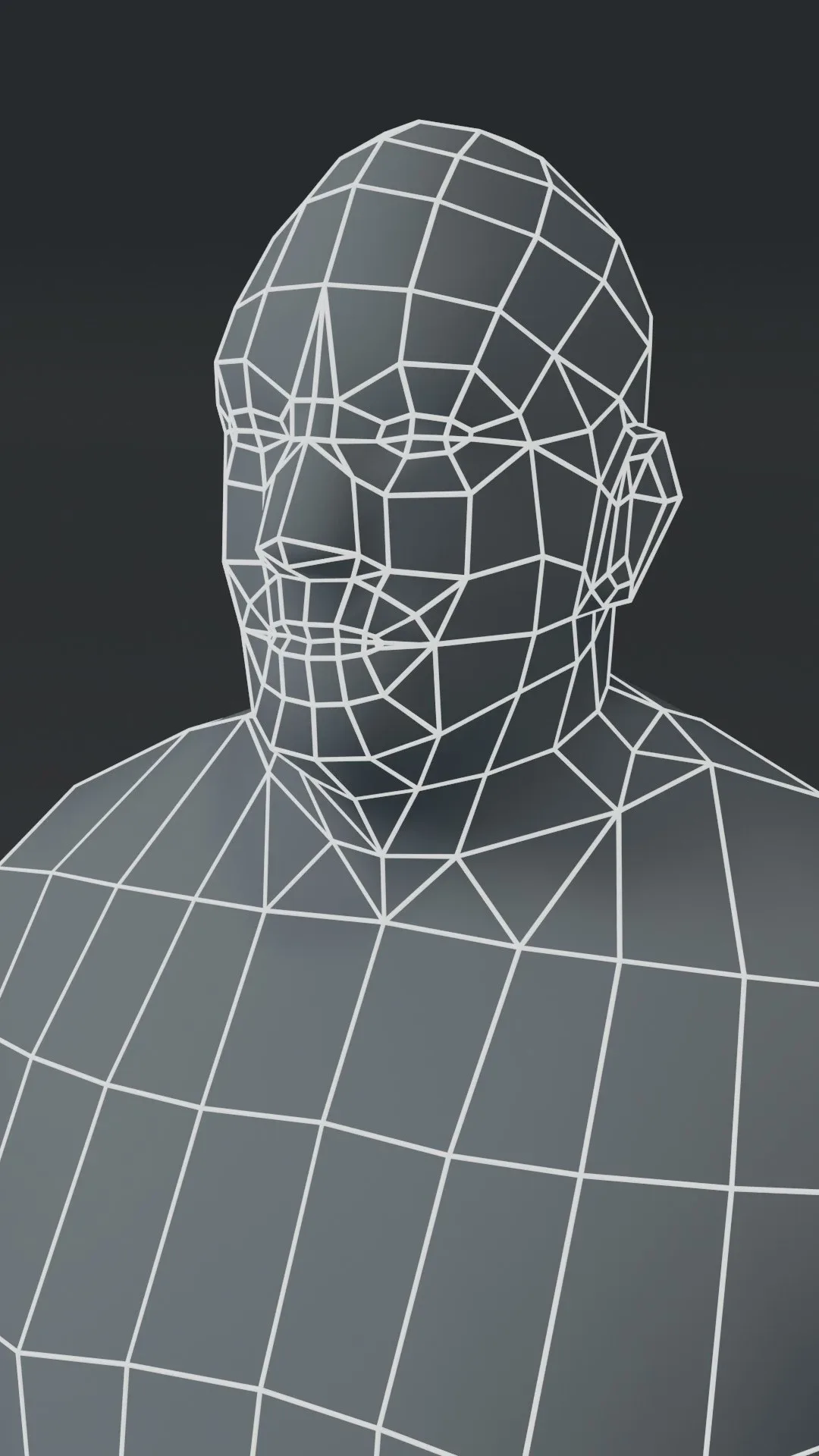Fat Body Base Mesh 3D Model Family - FlippedNormals