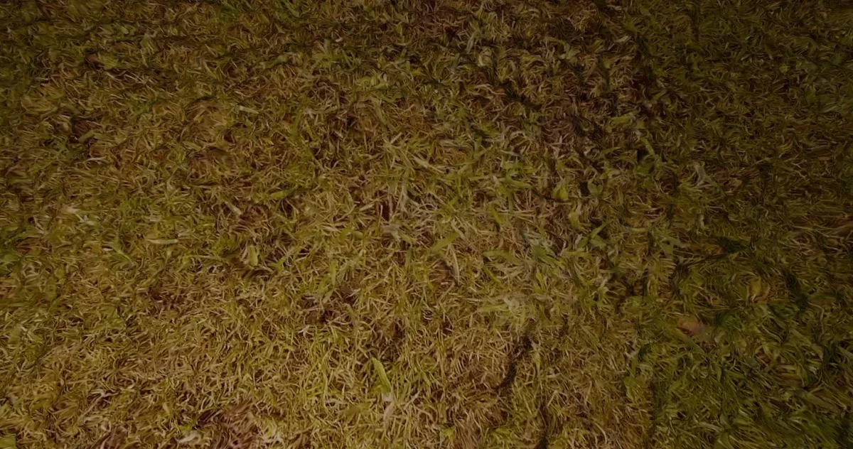 Patch Of Grass - FlippedNormals