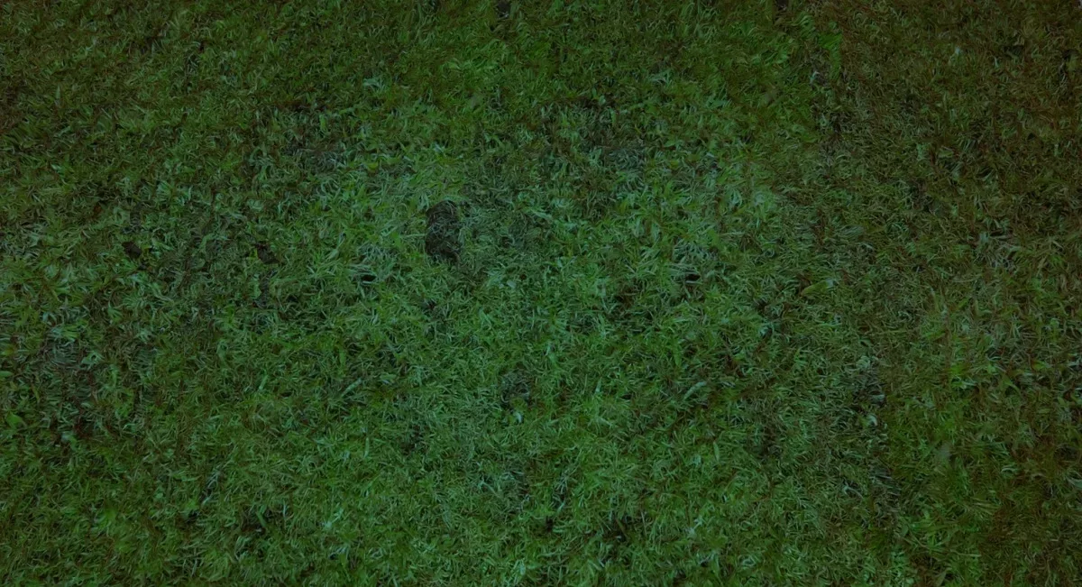 Patch Of Grass - FlippedNormals