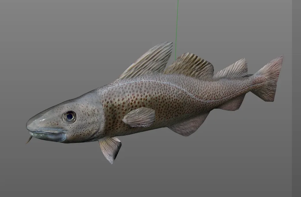 Cod fish 3d model - FlippedNormals