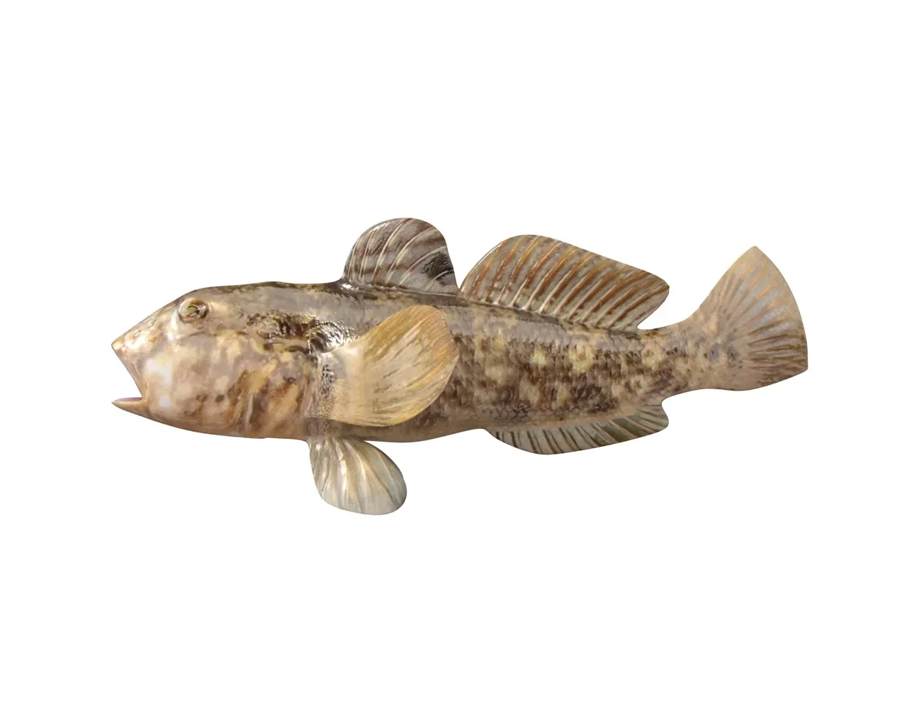 Round Goby fish 3d model - FlippedNormals