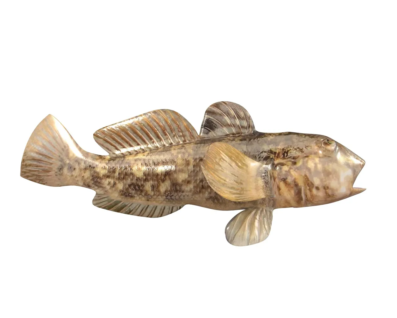 Round Goby fish 3d model - FlippedNormals