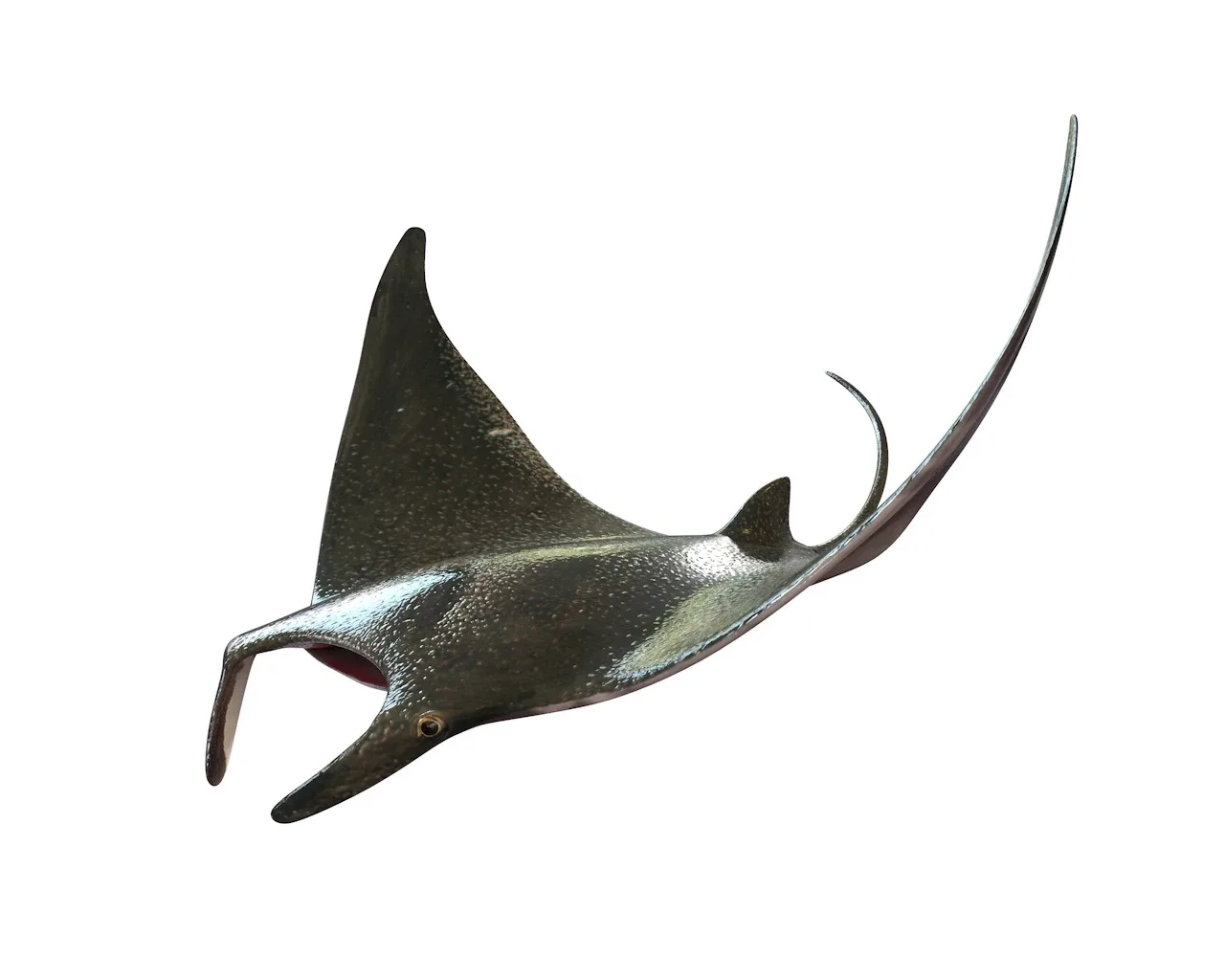 Manta Ray fish 3d model - FlippedNormals