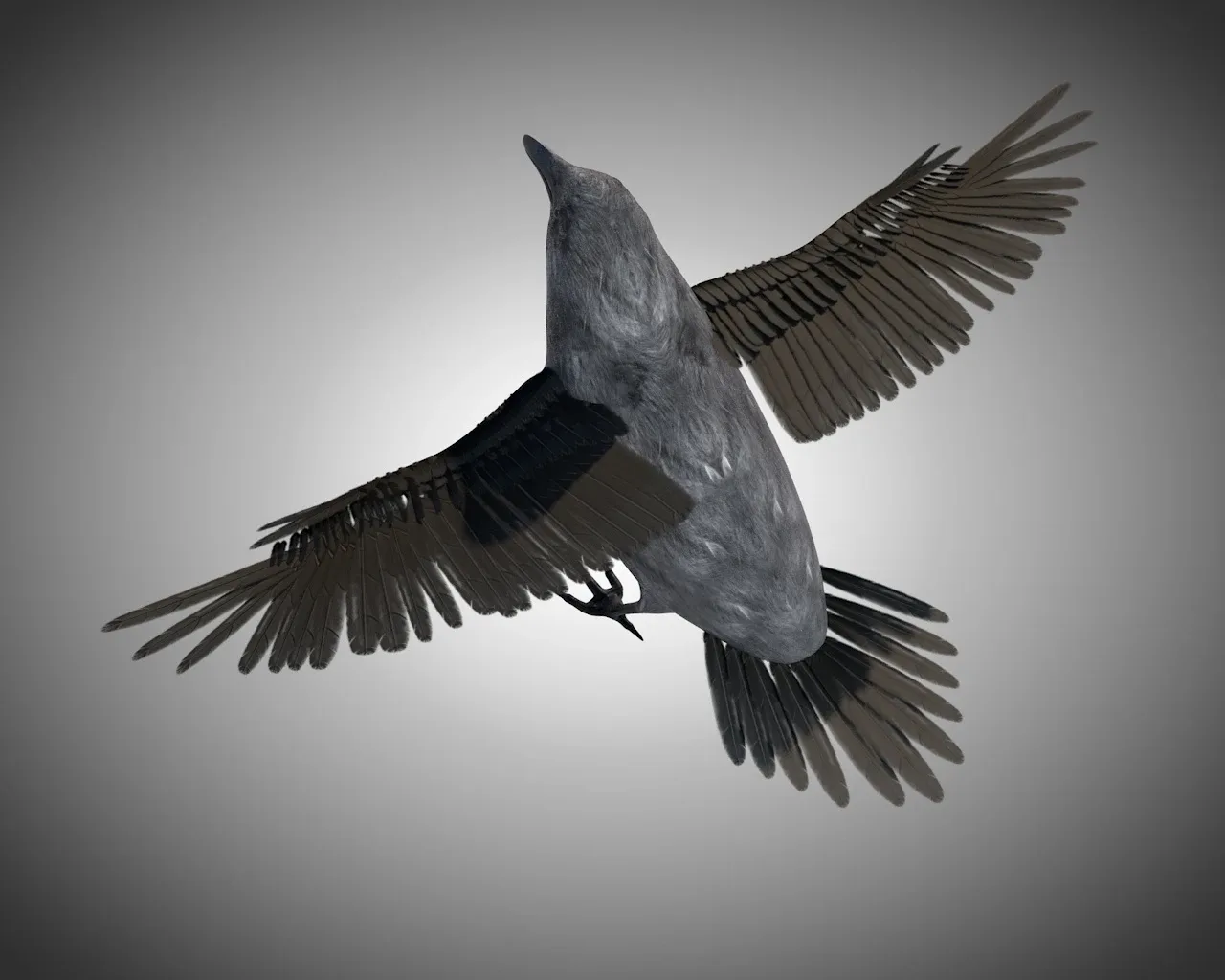 Raven bird 3d model - FlippedNormals