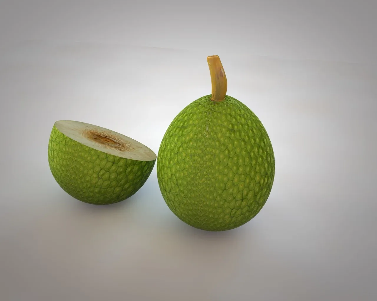 Breadfruit 3d model - FlippedNormals