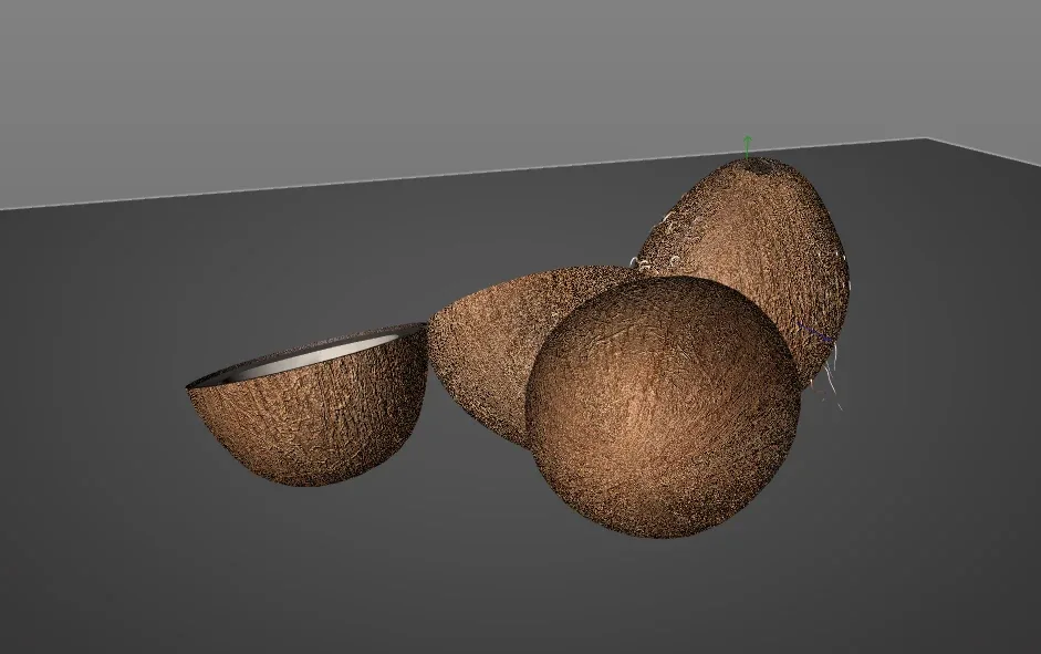 Coconut Inner 3d model - FlippedNormals