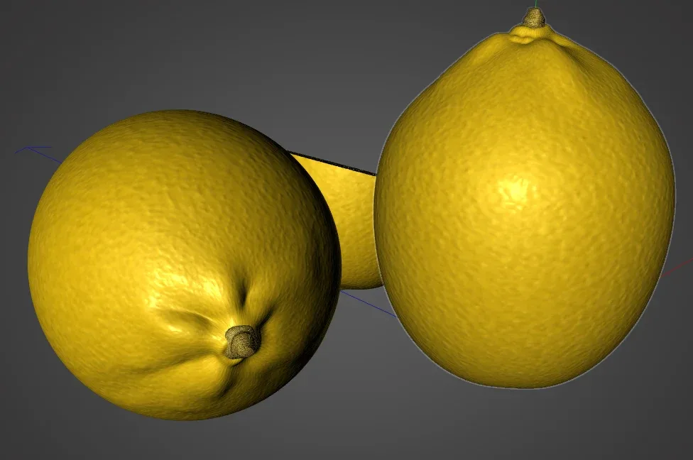 Lemon 3d model - FlippedNormals