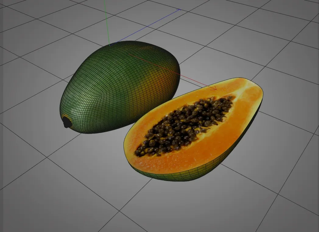 Papaya 3d model - FlippedNormals