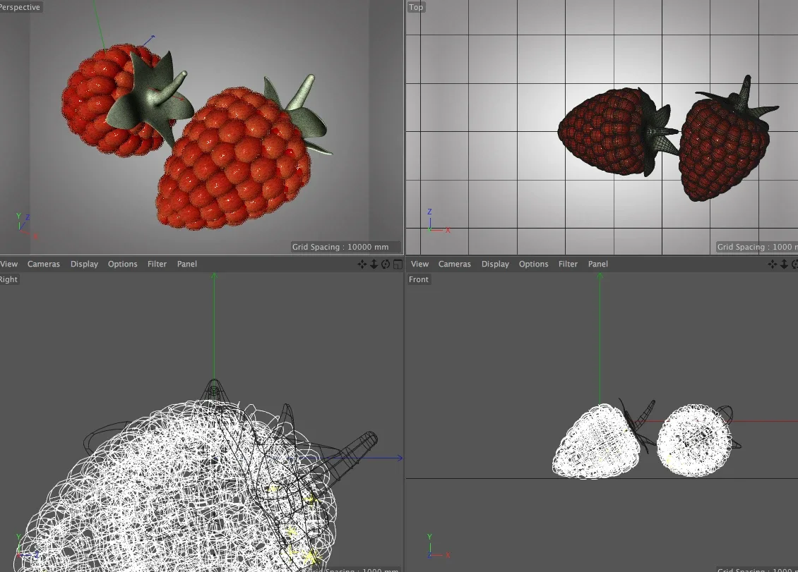 Raspberry 3d model - FlippedNormals