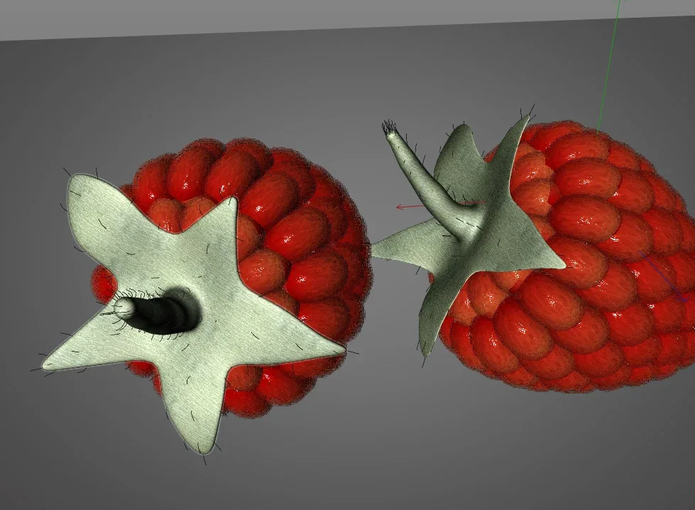 Raspberry 3d model - FlippedNormals