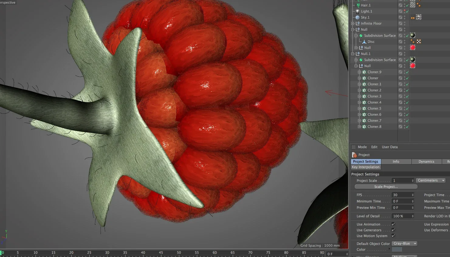 Raspberry 3d model - FlippedNormals