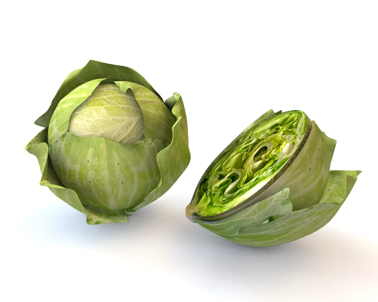 Cabbage Green 3d model - FlippedNormals