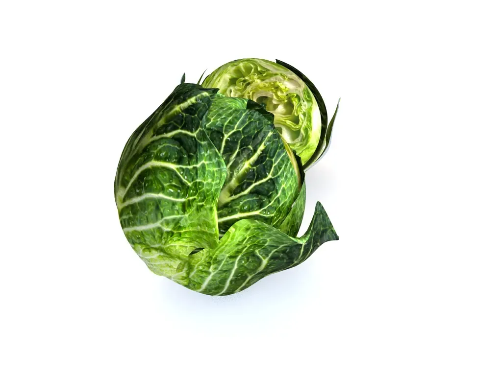 Cabbage Green V2 3d model - FlippedNormals