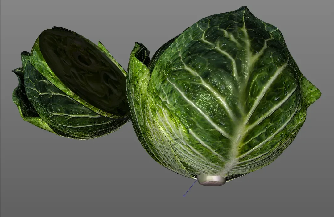 Cabbage Green V2 3d model - FlippedNormals