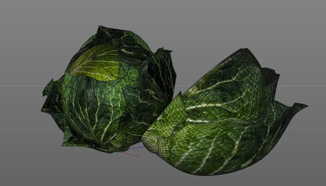 Cabbage Green V2 3d model - FlippedNormals