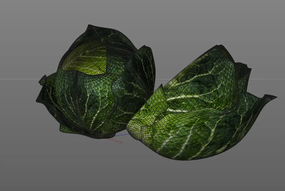 Cabbage Green V2 3d model - FlippedNormals