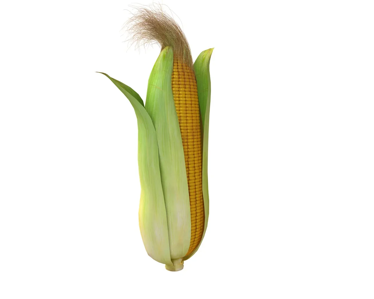 corn 3d model - FlippedNormals