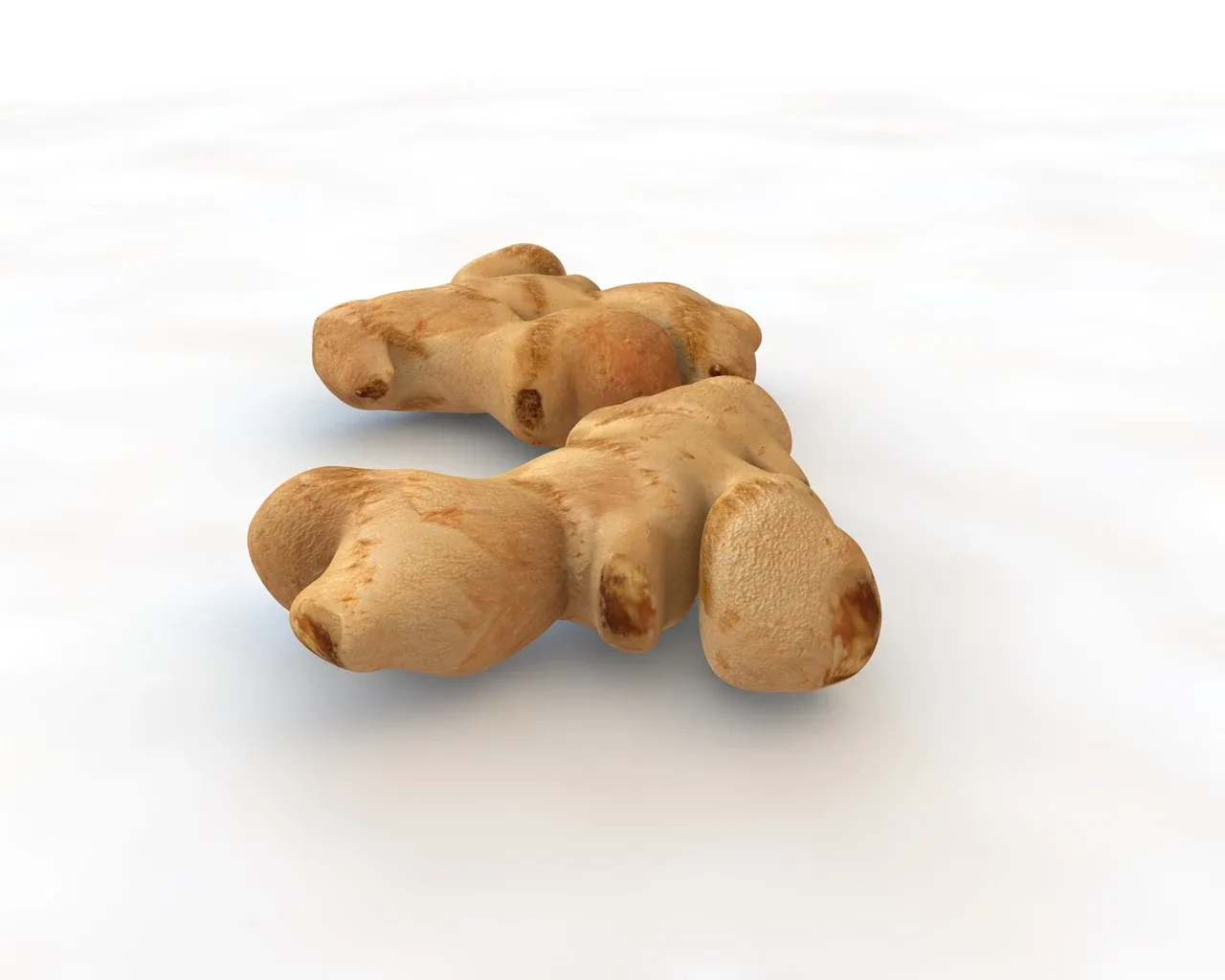 Ginger 3d model - FlippedNormals