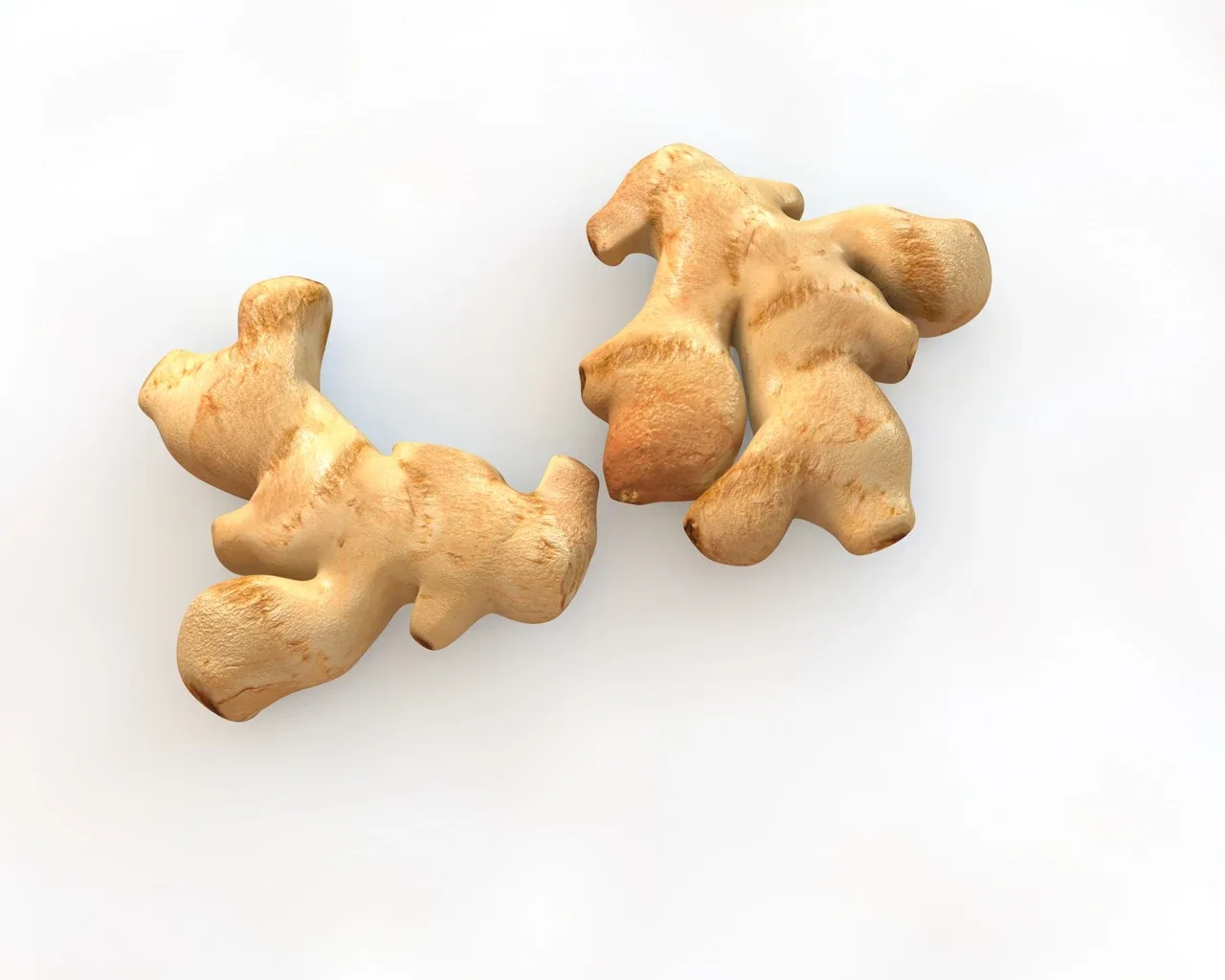 Ginger 3d model - FlippedNormals