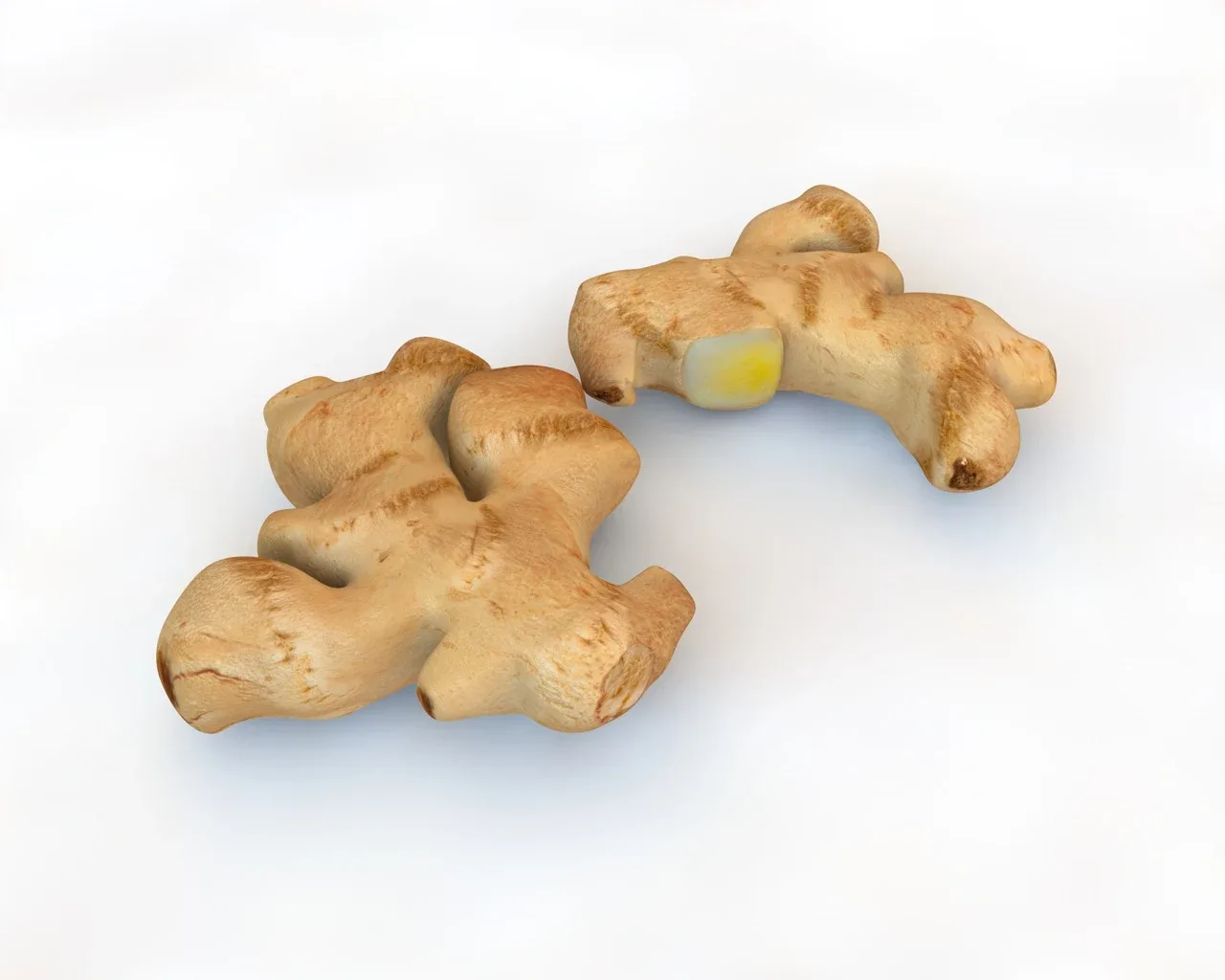 Ginger 3d model - FlippedNormals