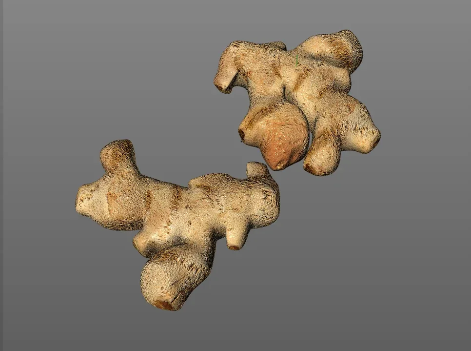 Ginger 3d model - FlippedNormals