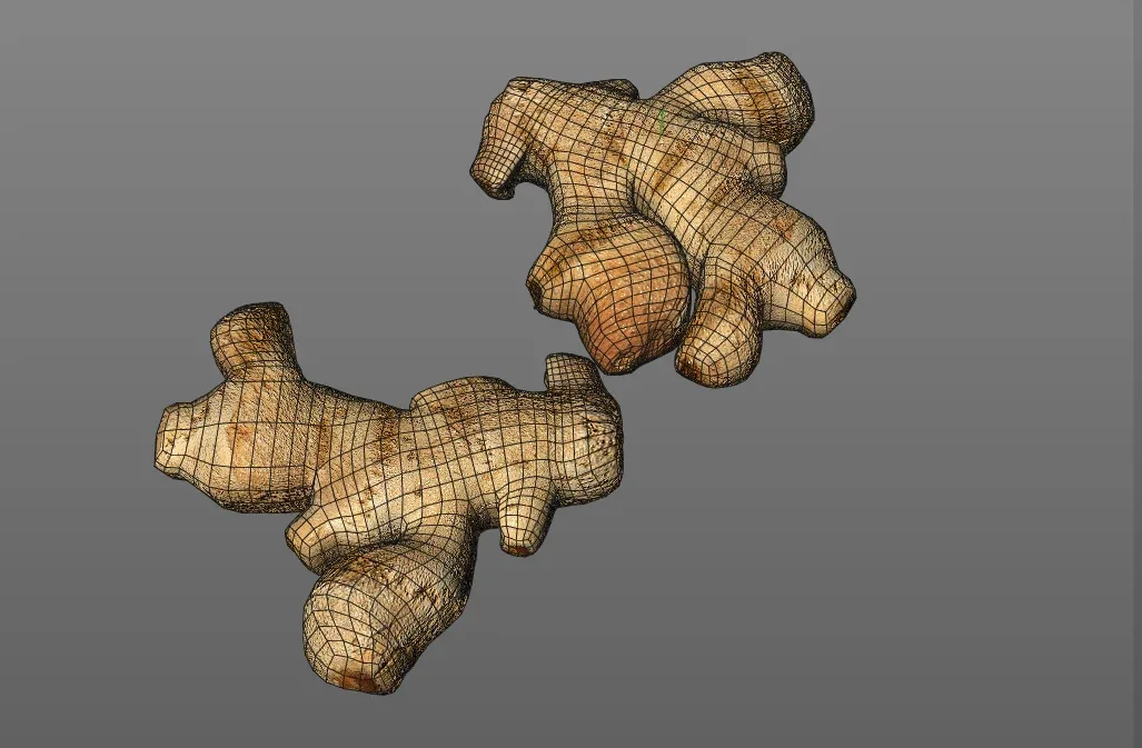 Ginger 3d model - FlippedNormals